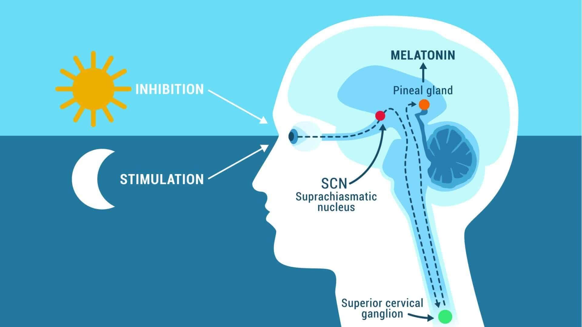 Lighting And Your Health - Sound & Vision
