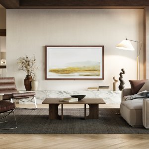 Elevate Your Sony BRAVIA with Leon’s Studio Frame: Art & Style Combined